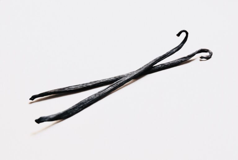 The Many Flavors of Vanilla | Learn More | Metarom USA